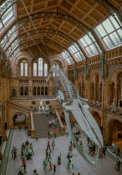 Community Science Museum